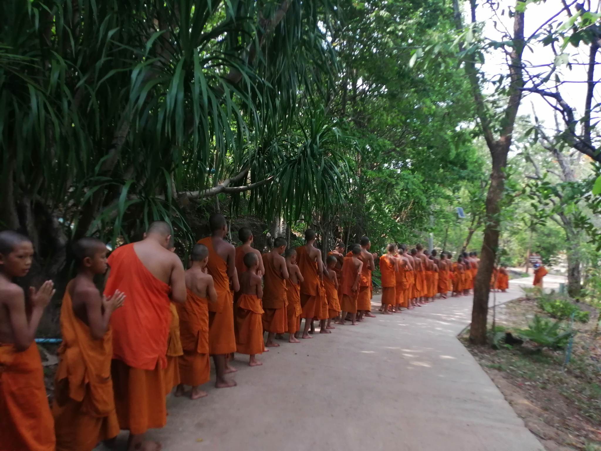 เด็ดเดี่ยว กล้าหาญ สามเณรใจสิงห์ – มหา วชิราลงกรณ บาลี เถรวาท ราชวิทยาลัย